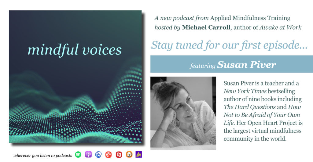 Mindful Voices guest – susan piver – Applied Mindfulness Training