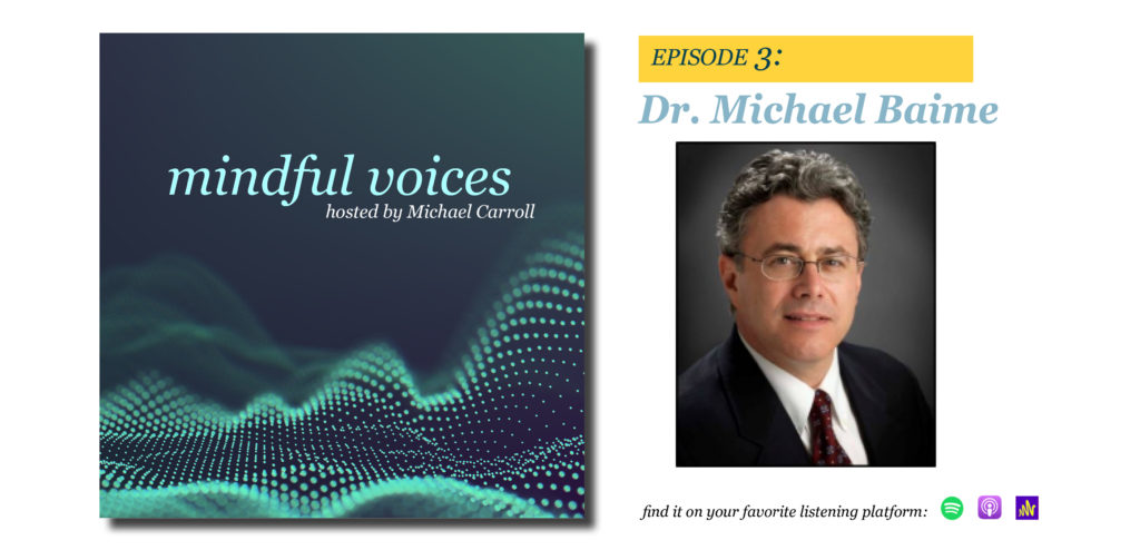 Mindful Voices guest – susan piver – Applied Mindfulness Training